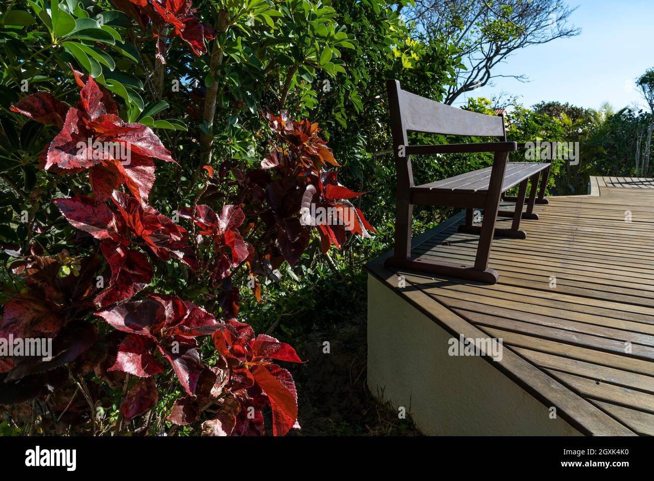Wooden bench with a nature background Stock Photo - Alamy