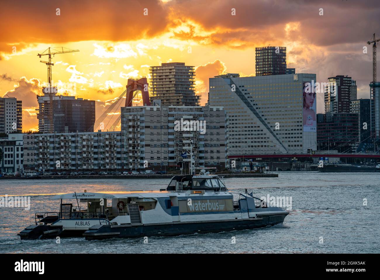 The skyline of Rotterdam, water bus, river the Nieuwe Maas, Netherlands ...