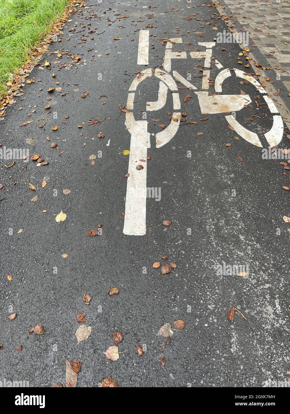 Cycle lane sign painted on asphalt Stock Photo - Alamy