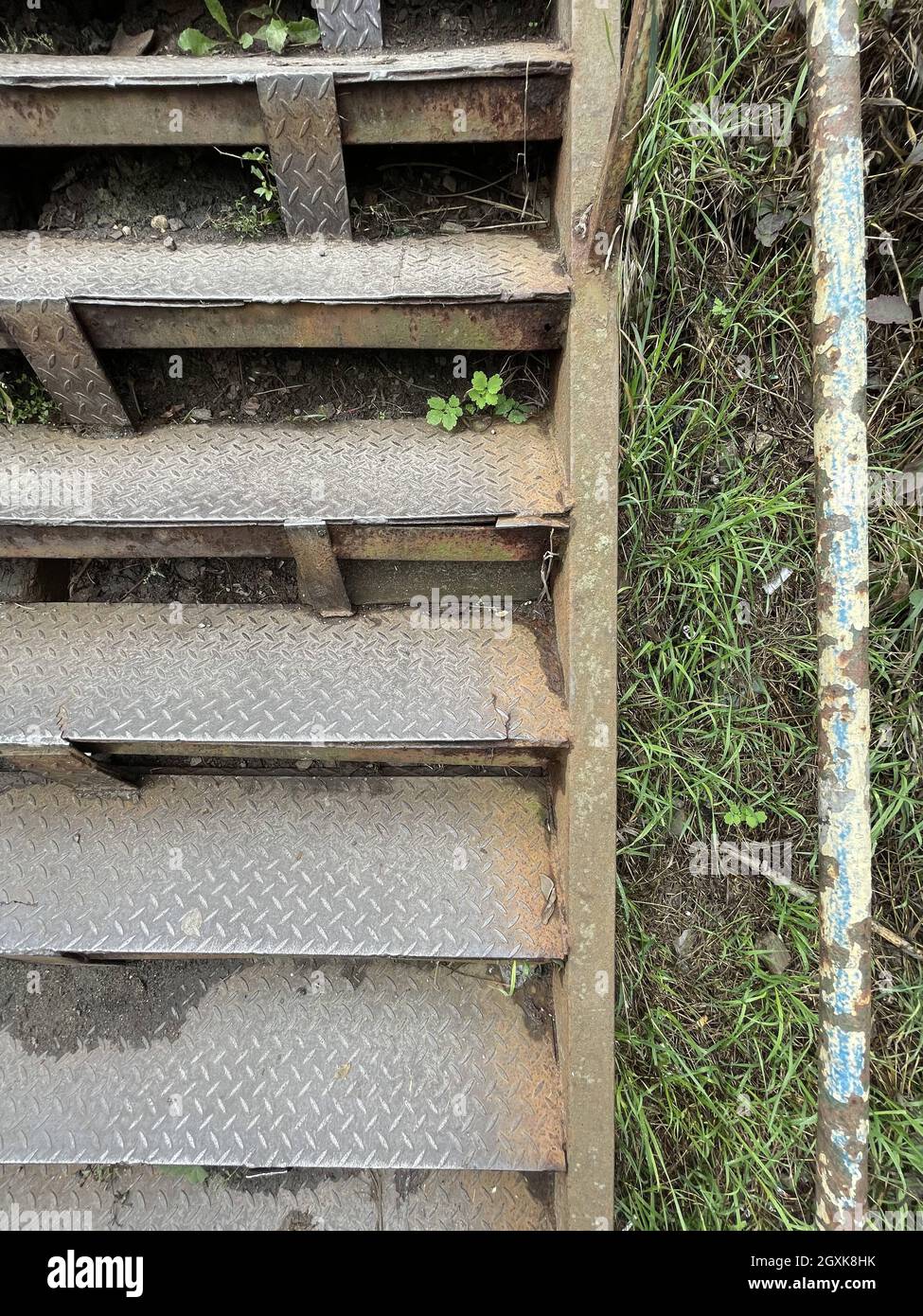 Top view shot of little green plant growing through rusty metal stairs ...