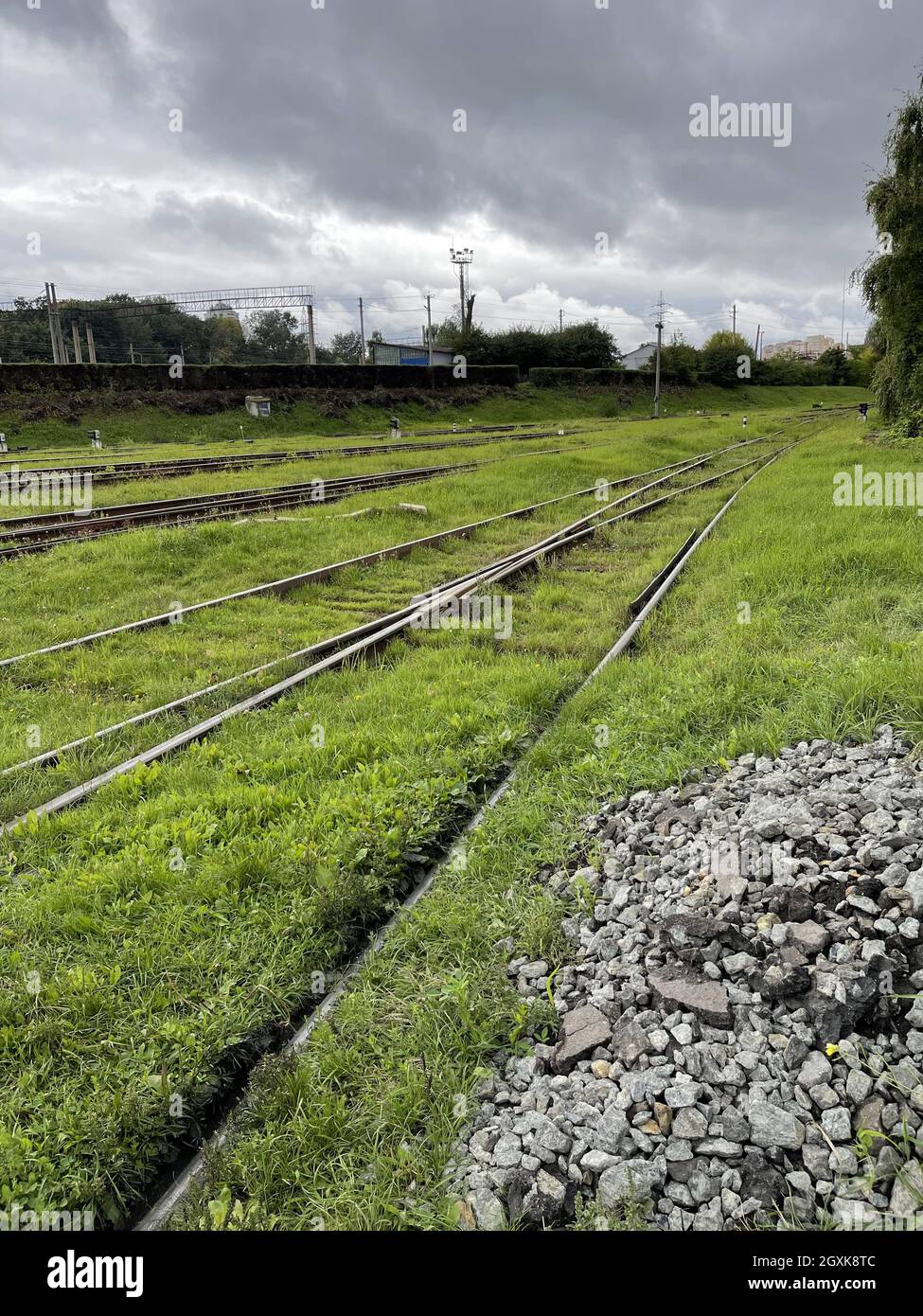 Railroad tracks in green grass under grey sky Stock Photo - Alamy