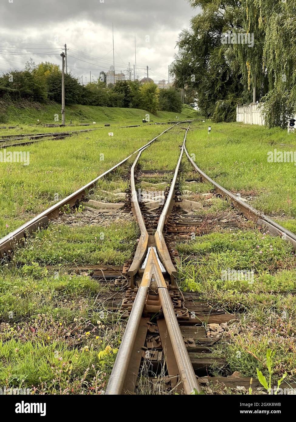 Railroad tracks switch junction in green grass Stock Photo - Alamy