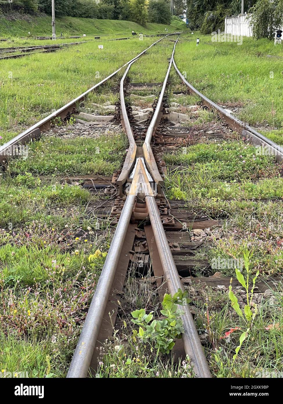 Old metal railroad tracks junction in green grass Stock Photo - Alamy
