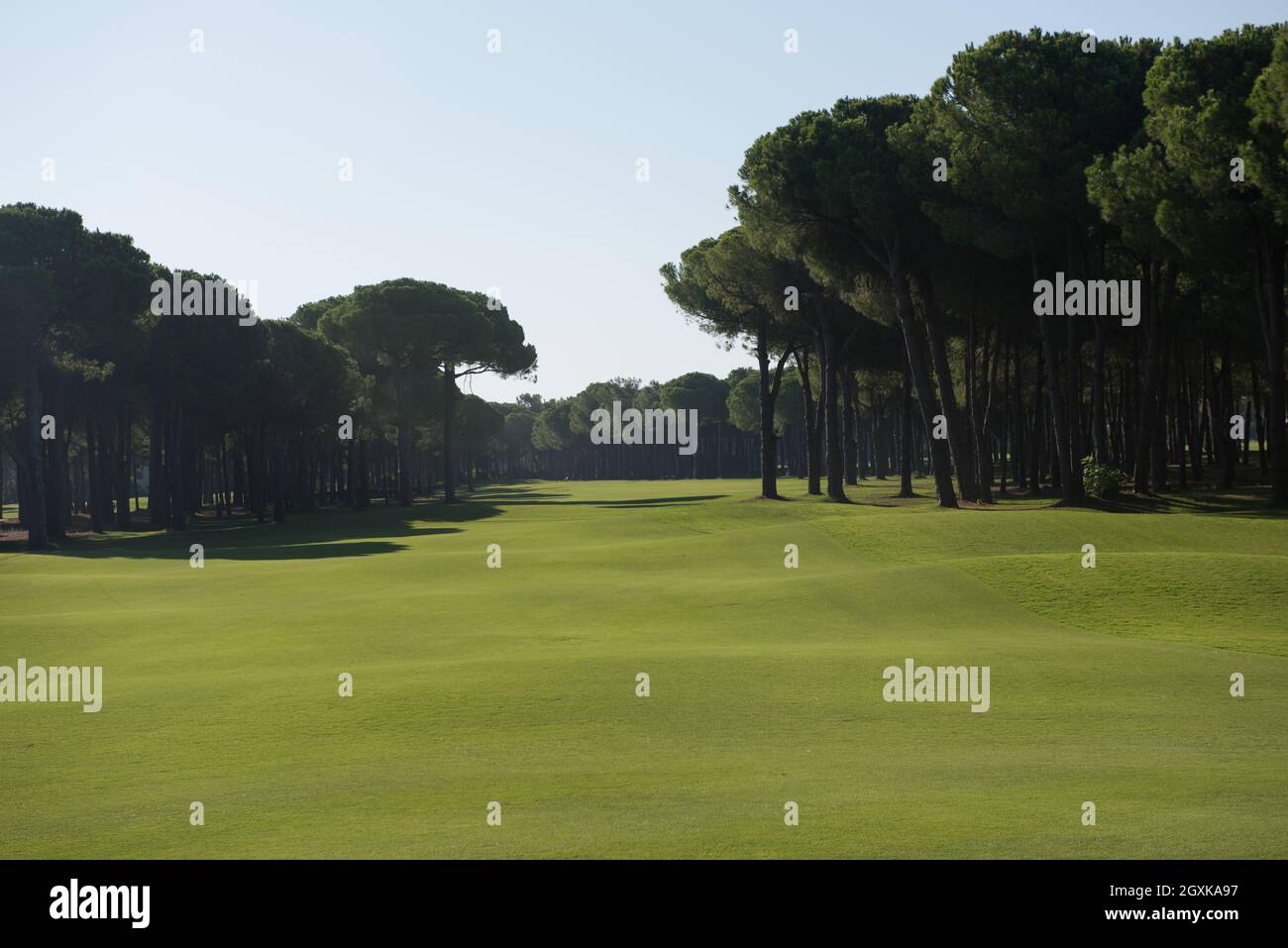 golf course landscape at beautiful fresh morning sunrise Stock Photo ...