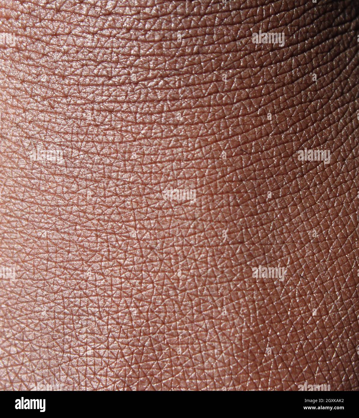 close up of a skin like surface Stock Photo - Alamy