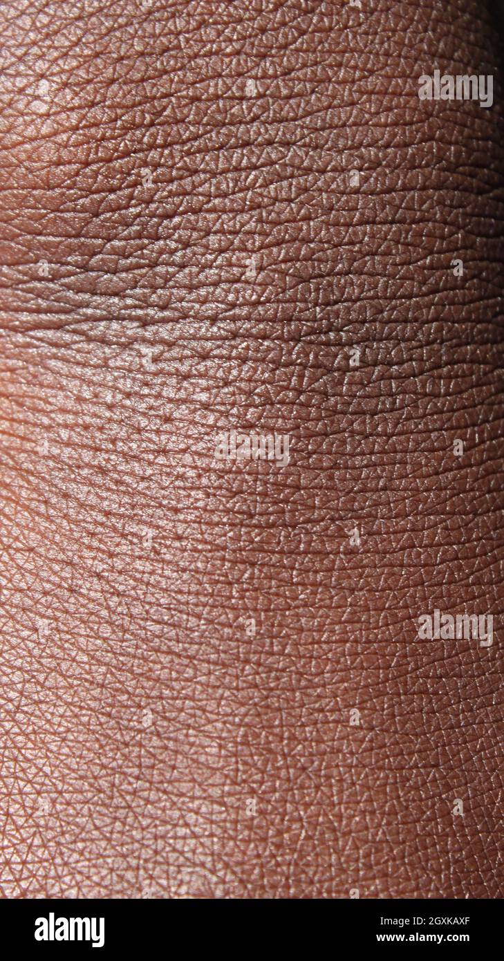 Skin like surface hi-res stock photography and images - Alamy