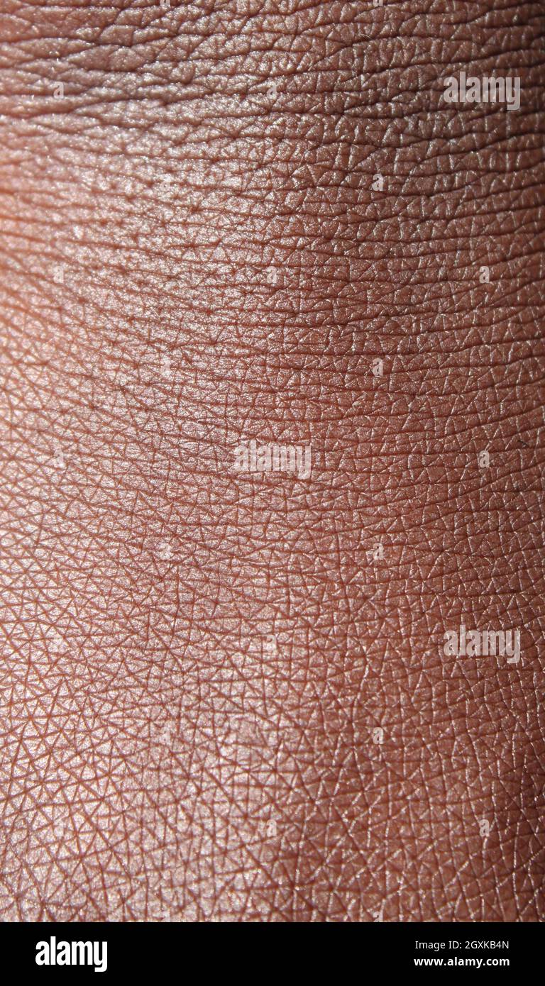 close up of a skin like surface Stock Photo - Alamy