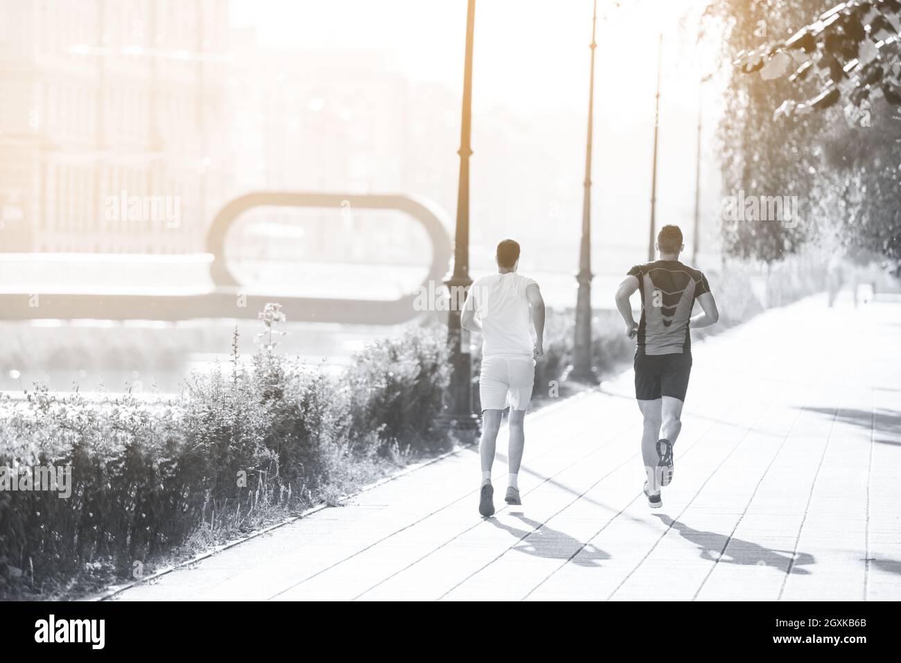 group of young sporty people jogging at sunny morning in the city Stock ...