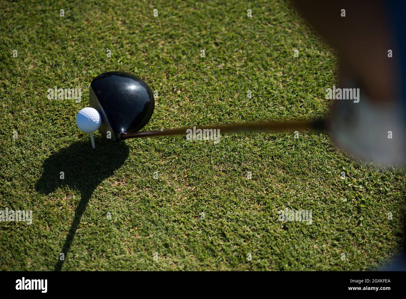 top view of golf club and ball in grass on course preparing for shot ...