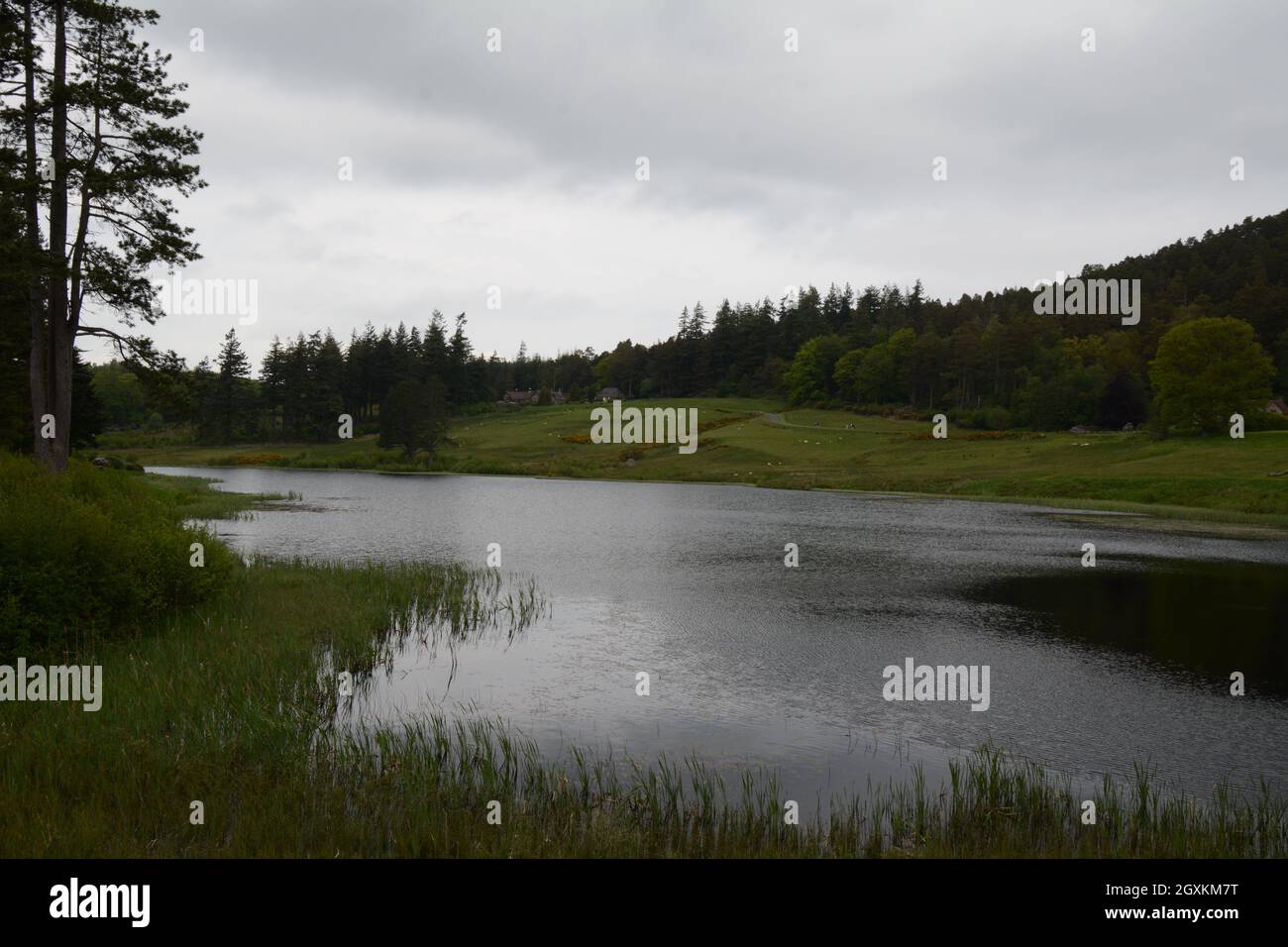 Cragside Northumberland National Trust water lake river stream tree ...