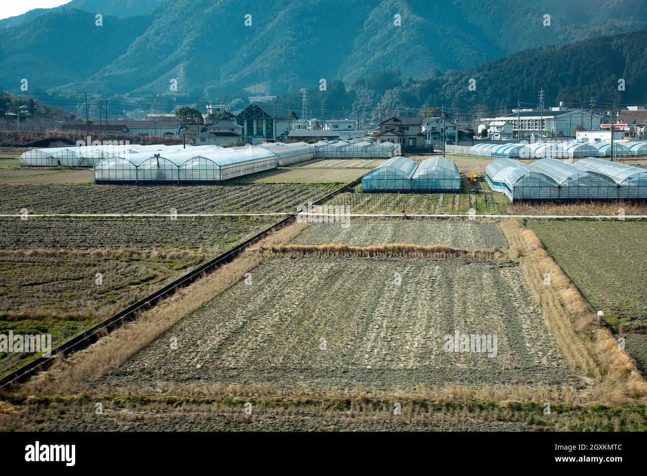 Japan greenhouses hi-res stock photography and images - Alamy
