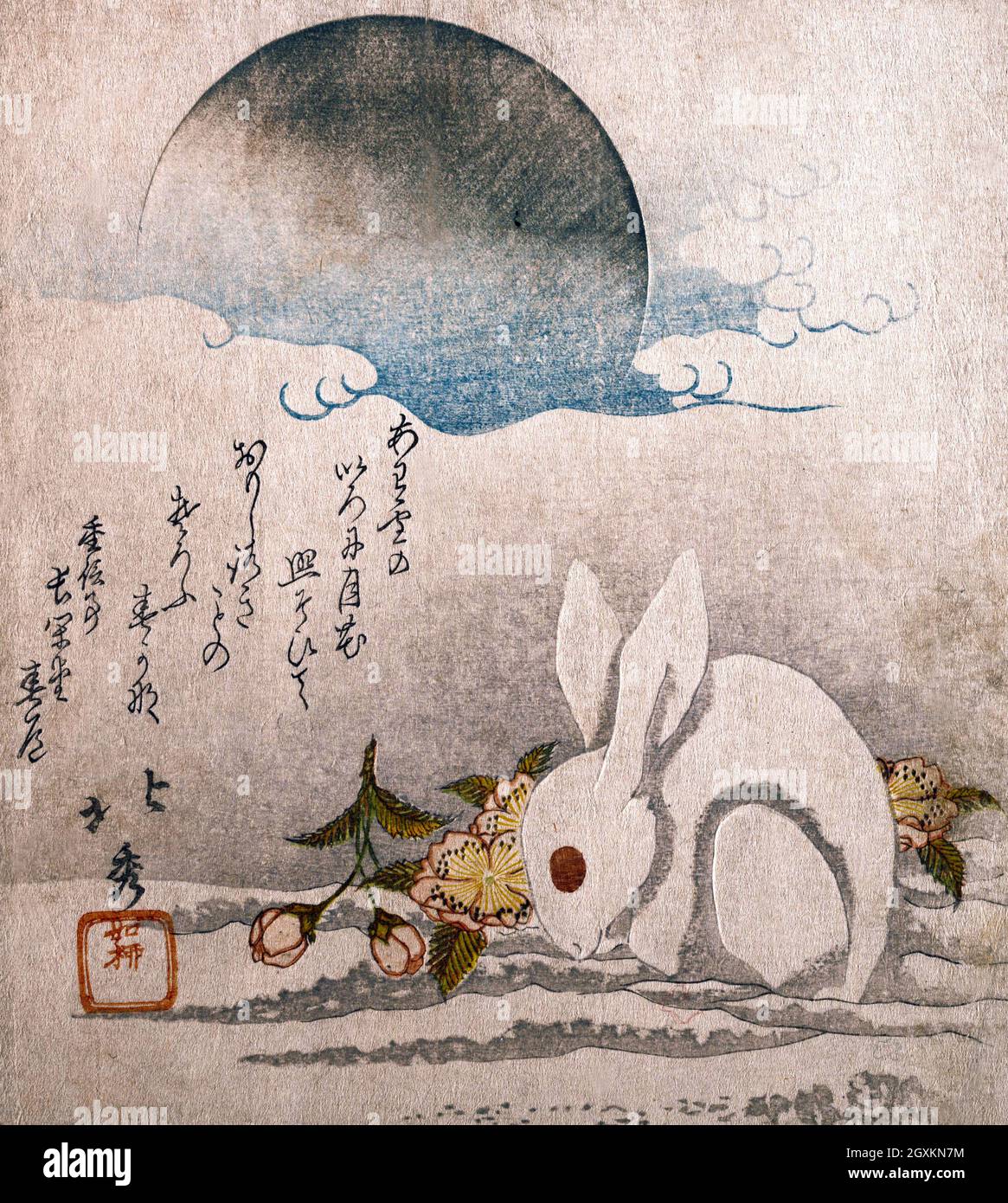 Rabbit On The Moon