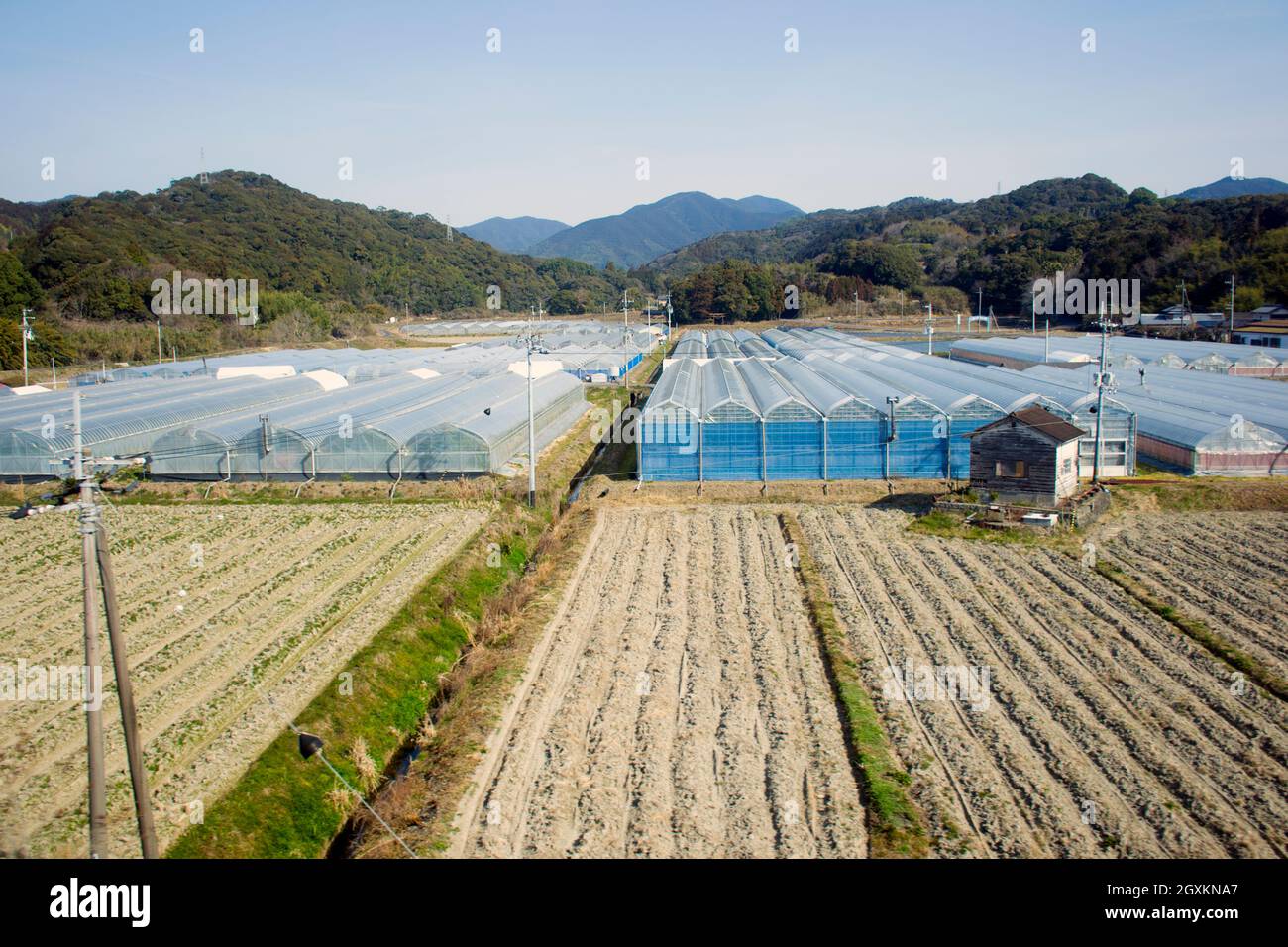 Farms and greenhouses around Ehime Prefecture, Japan Stock Photo - Alamy