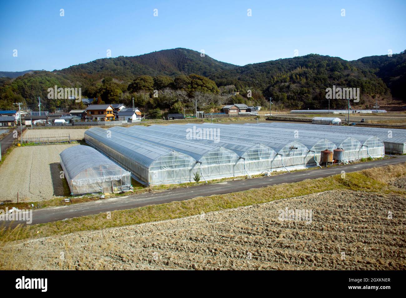 Japan greenhouses hi-res stock photography and images - Alamy