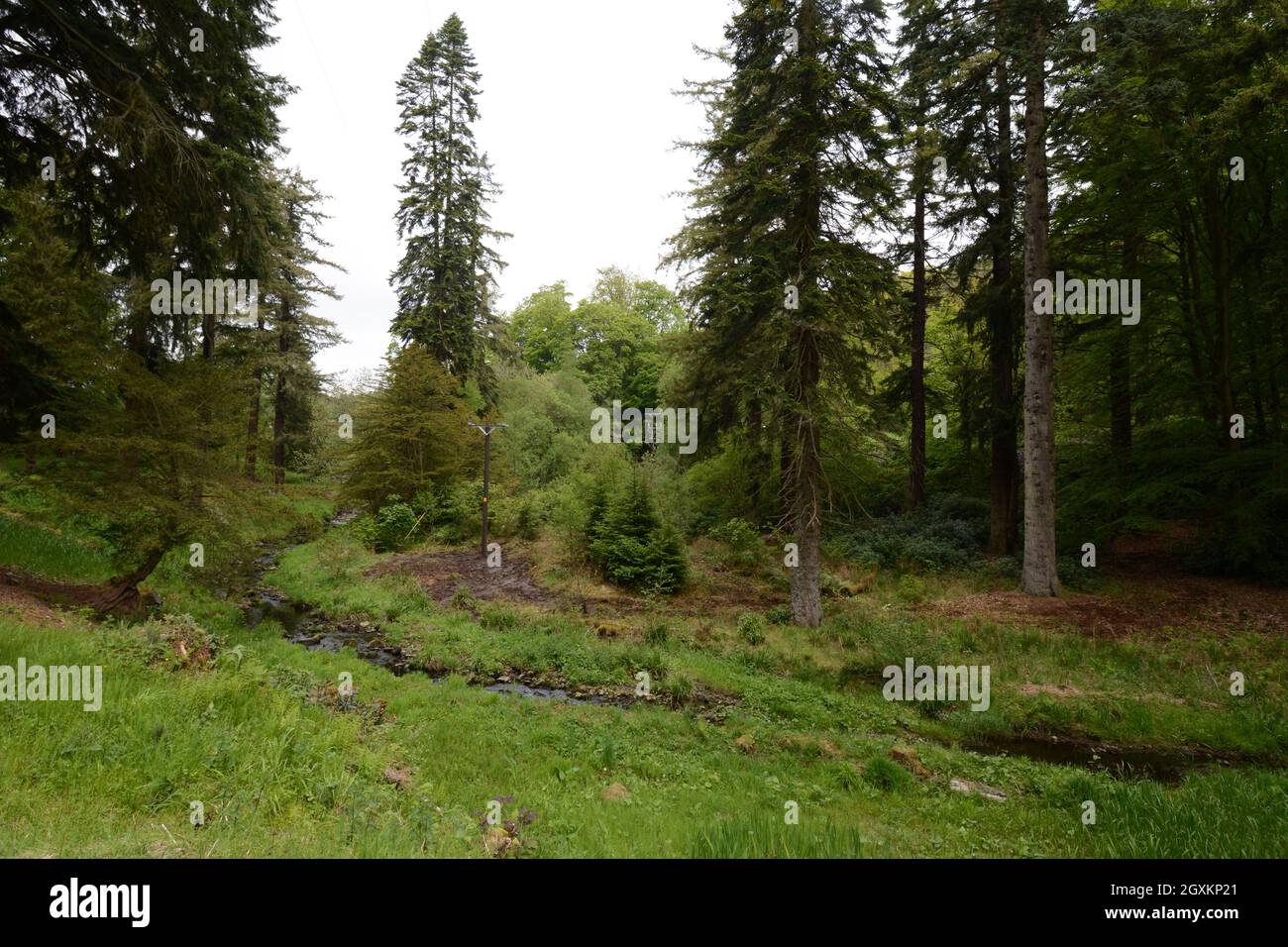 Cragside Northumberland National Trust Stock Photo - Alamy