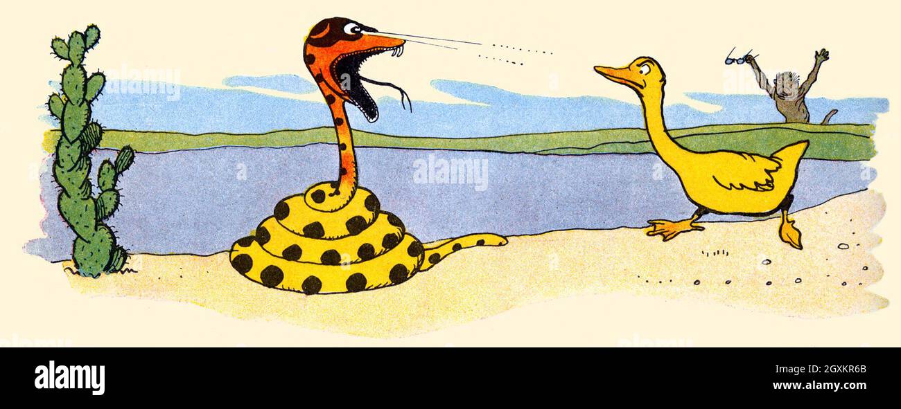 Snake tries to Hypnotize Gedeon Stock Photo - Alamy