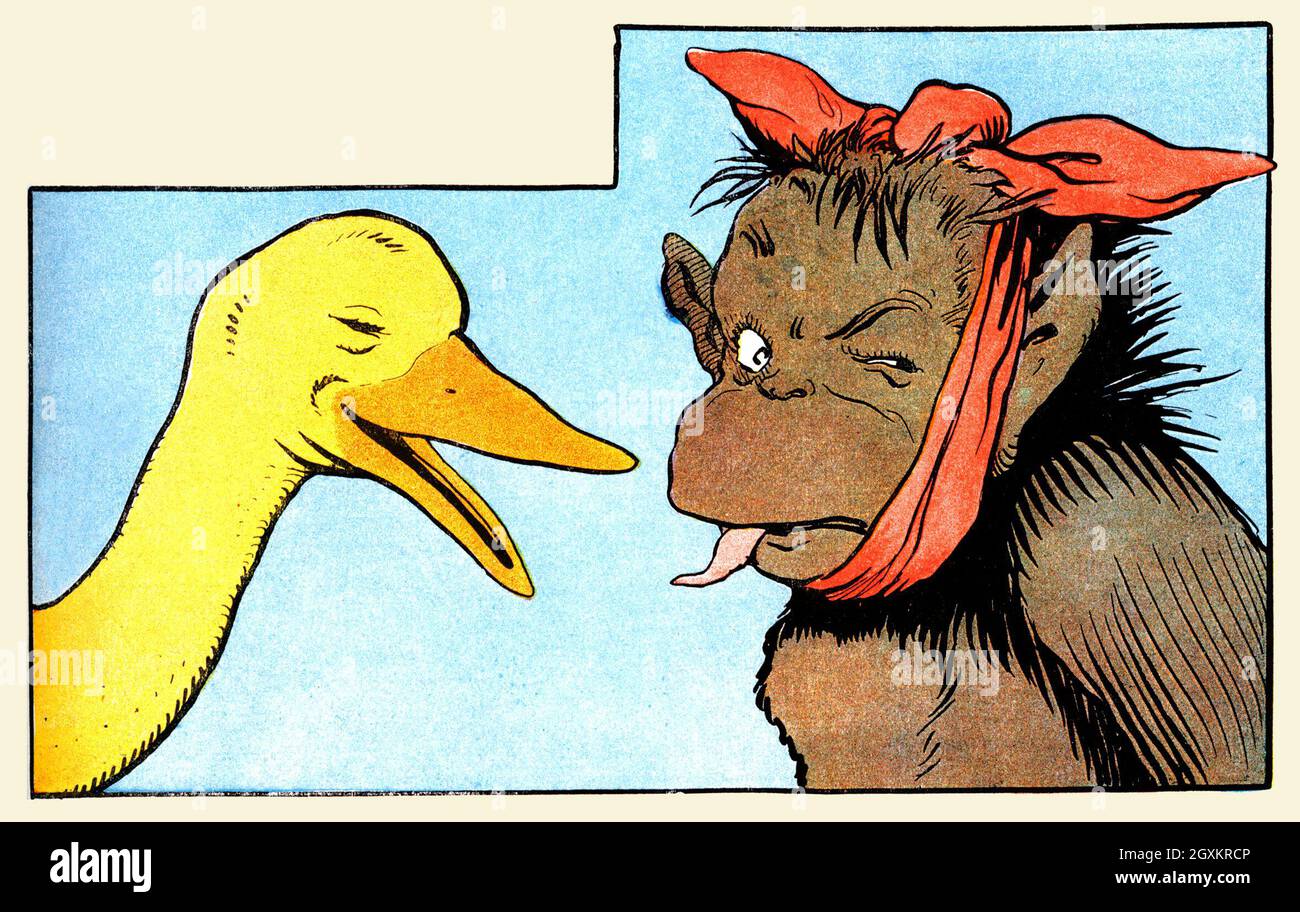 Wounded monkey hi-res stock photography and images - Alamy