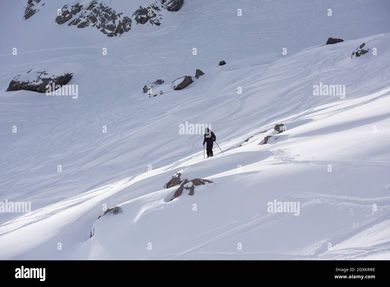 extreme freeride skier skiing on fresh powder snow in downhill at ...