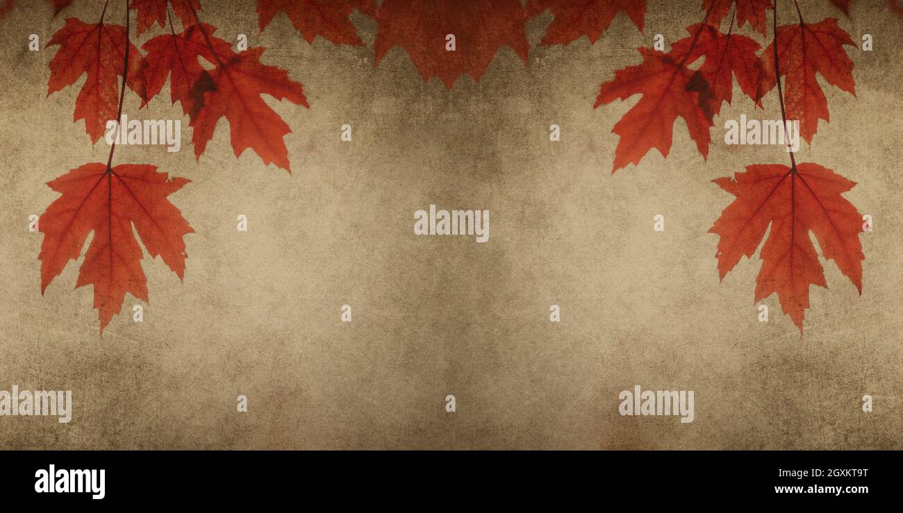 Autumn colored background with leaves, vintage style, fall colors Stock ...