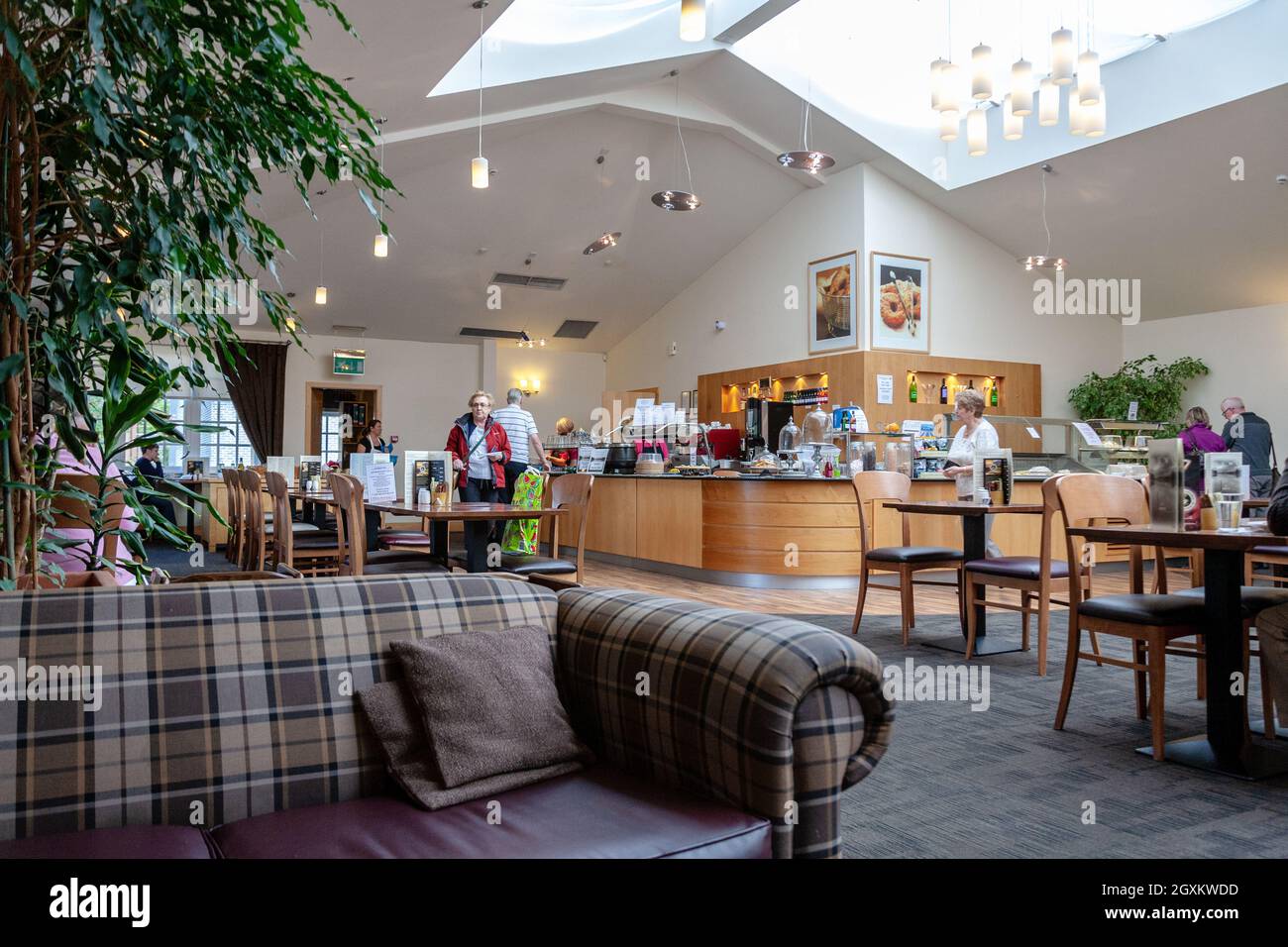 Cafe interior decor hi-res stock photography and images - Alamy