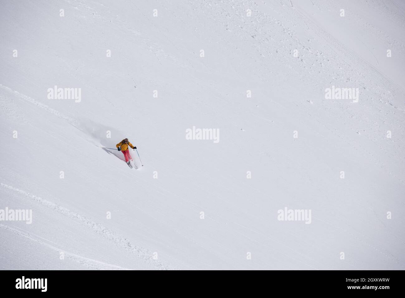 extreme freeride skier skiing on fresh powder snow in downhill at ...