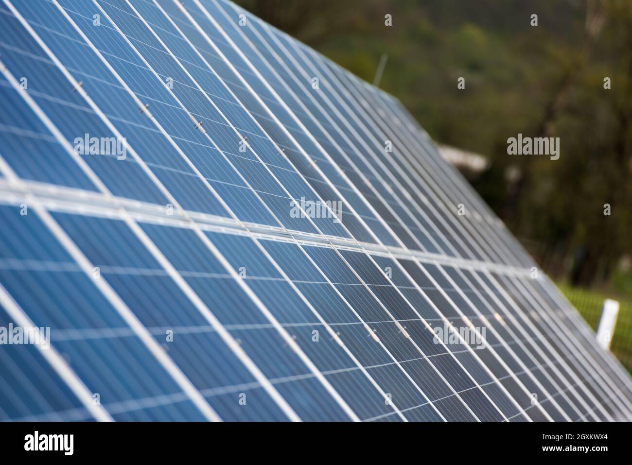 solar panels green eco renewable energy plant Stock Photo - Alamy