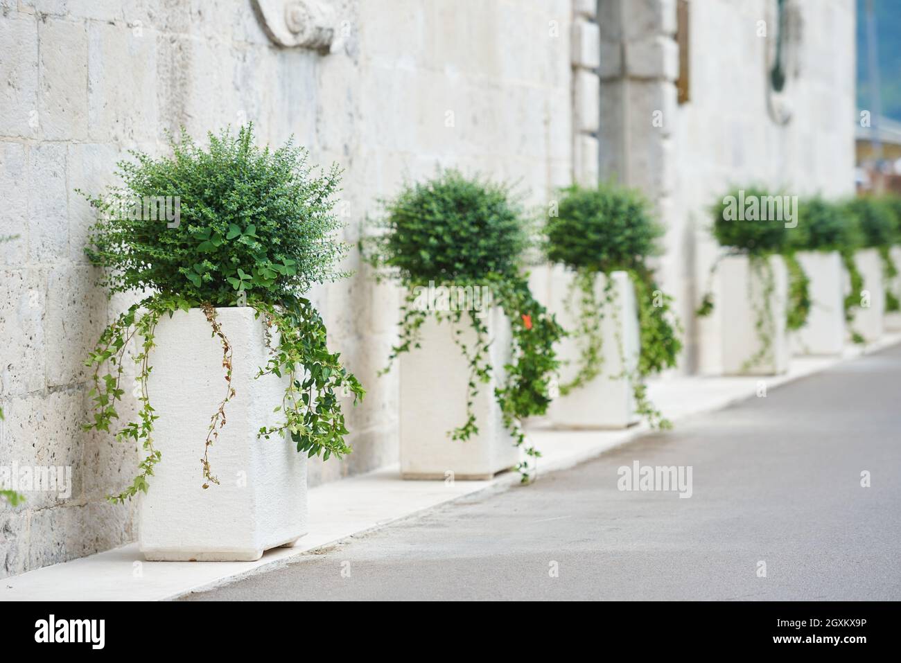 Lush facade hi-res stock photography and images - Alamy