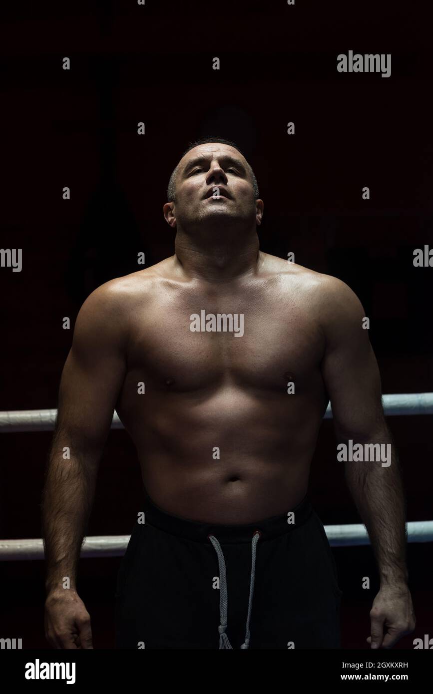 portrait of muscular professional kickboxer who standing in the ring ...