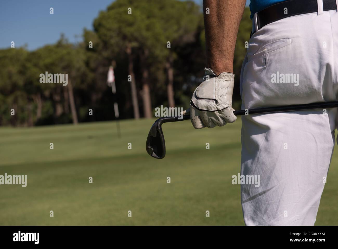 golf player hand and driver close up from back with course in ...