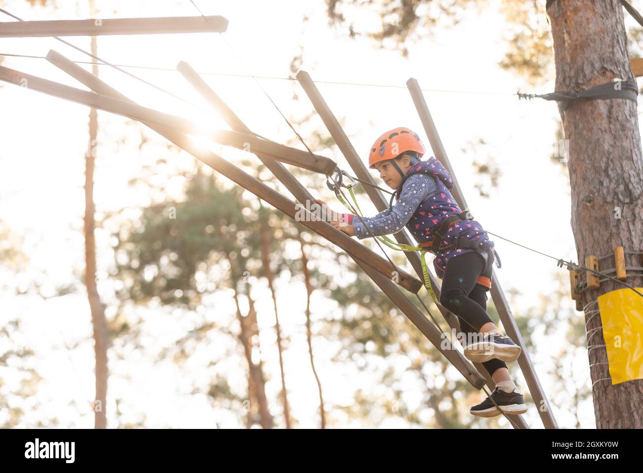 Child in forest adventure park. Kids climb on high rope trail. Agility ...