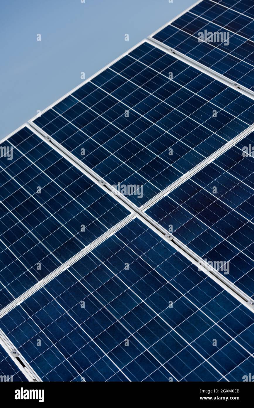 solar panels green eco renewable energy plant Stock Photo - Alamy
