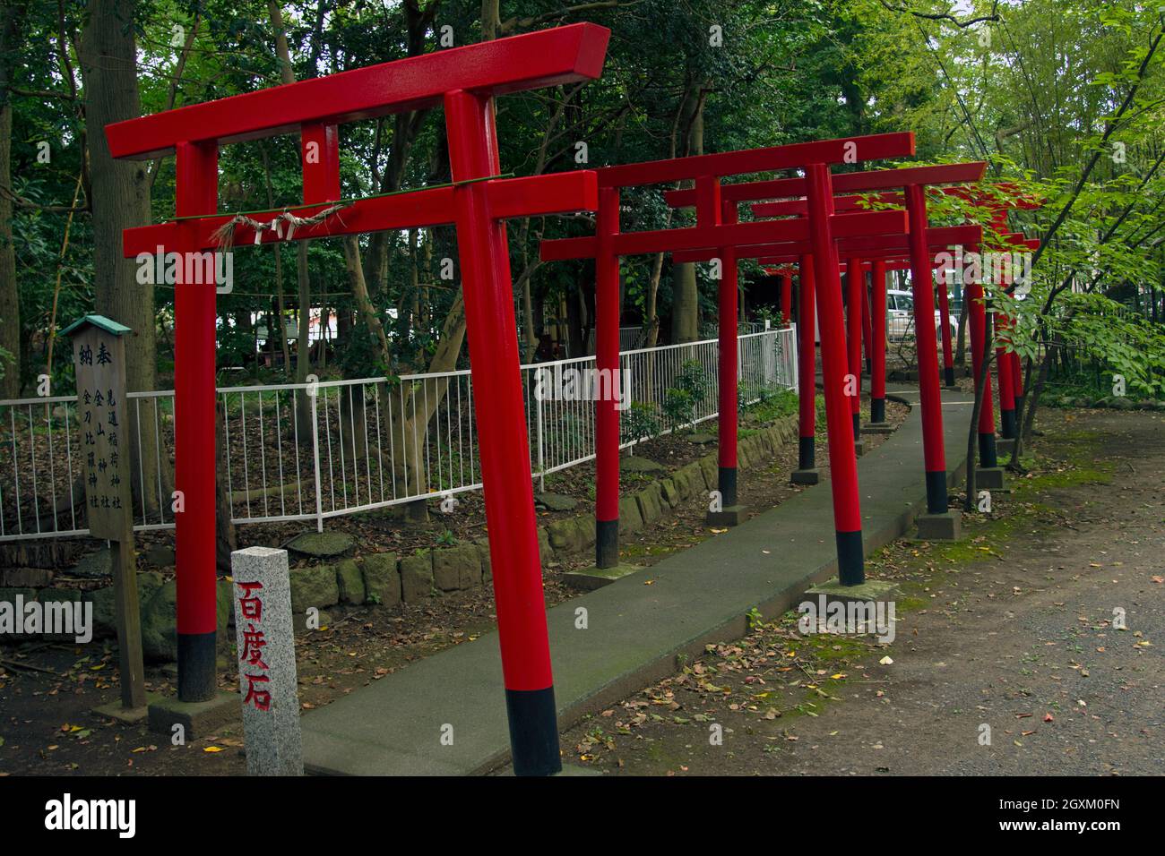 Oshiba hi-res stock photography and images - Alamy