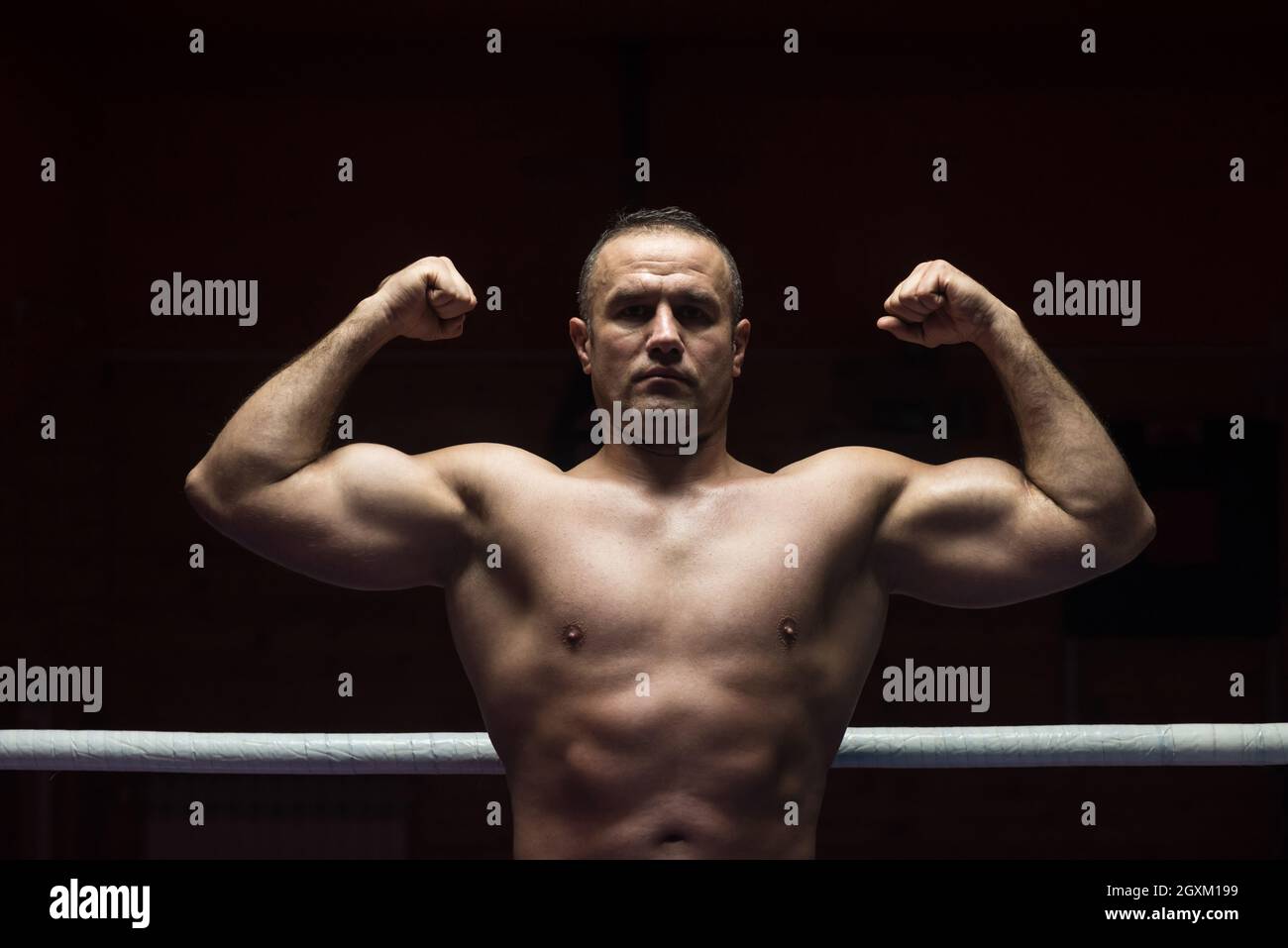 portrait of muscular professional kickboxer who standing in the ring ...