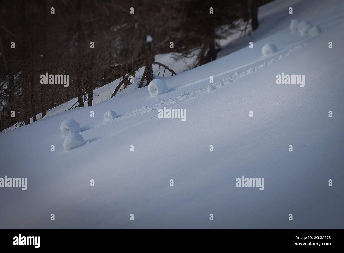 Tilt shift effect of wheel-shaped snowballs formed by rolling down a ...