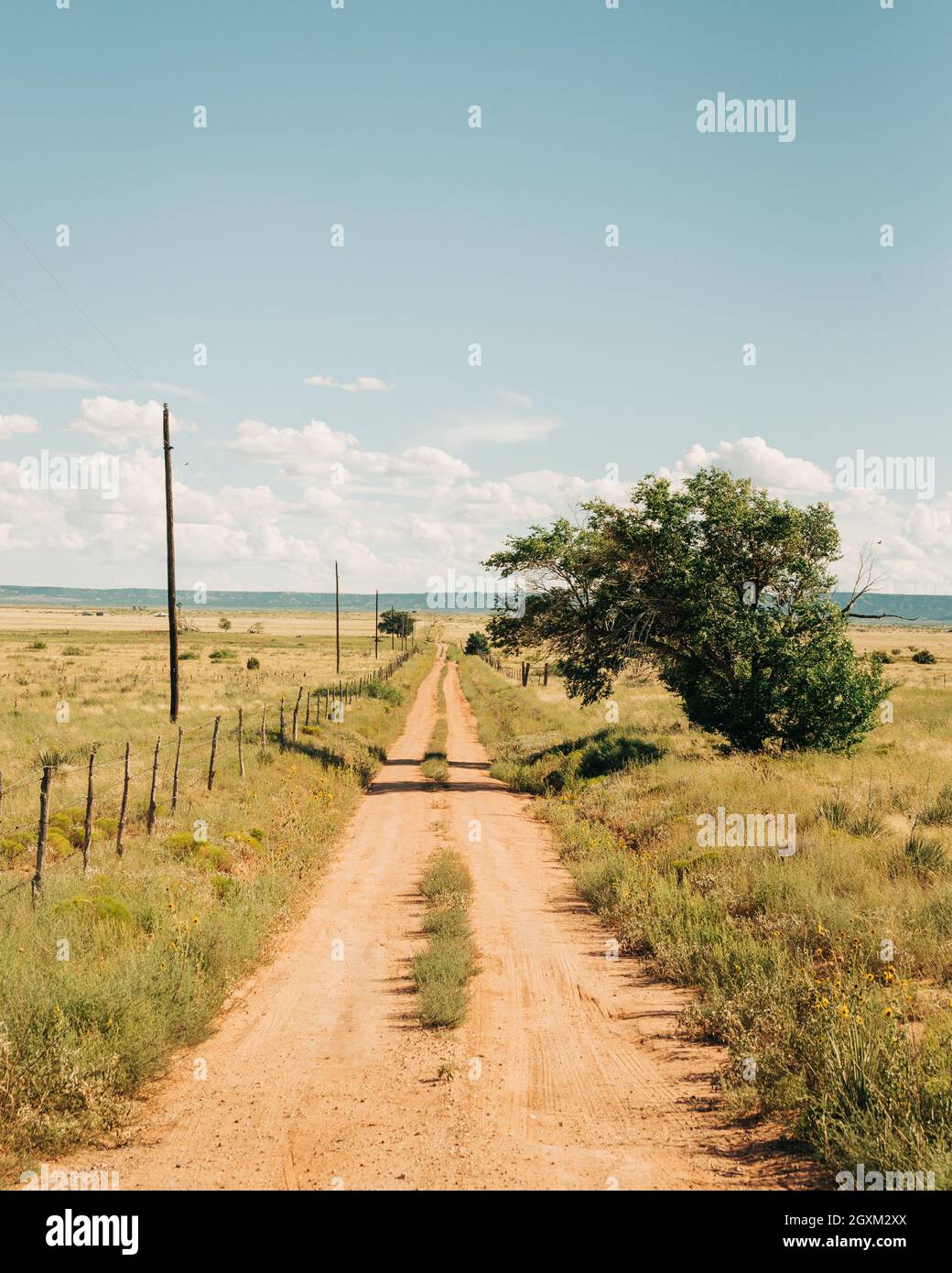 A dirt road near Route 66 in eastern New Mexico Stock Photo - Alamy