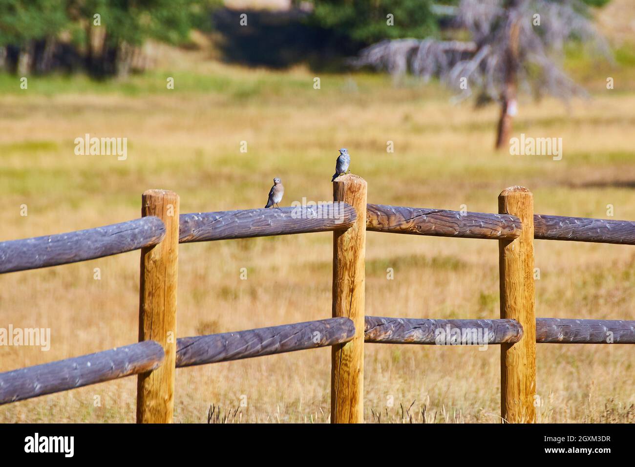 Desert landscape wooden fence hi-res stock photography and images - Alamy