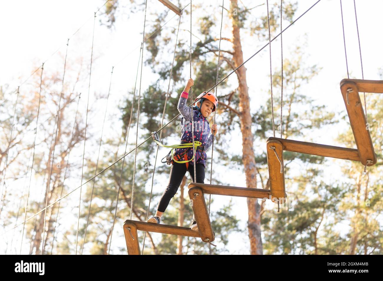 Child in forest adventure park. Kids climb on high rope trail. Agility ...