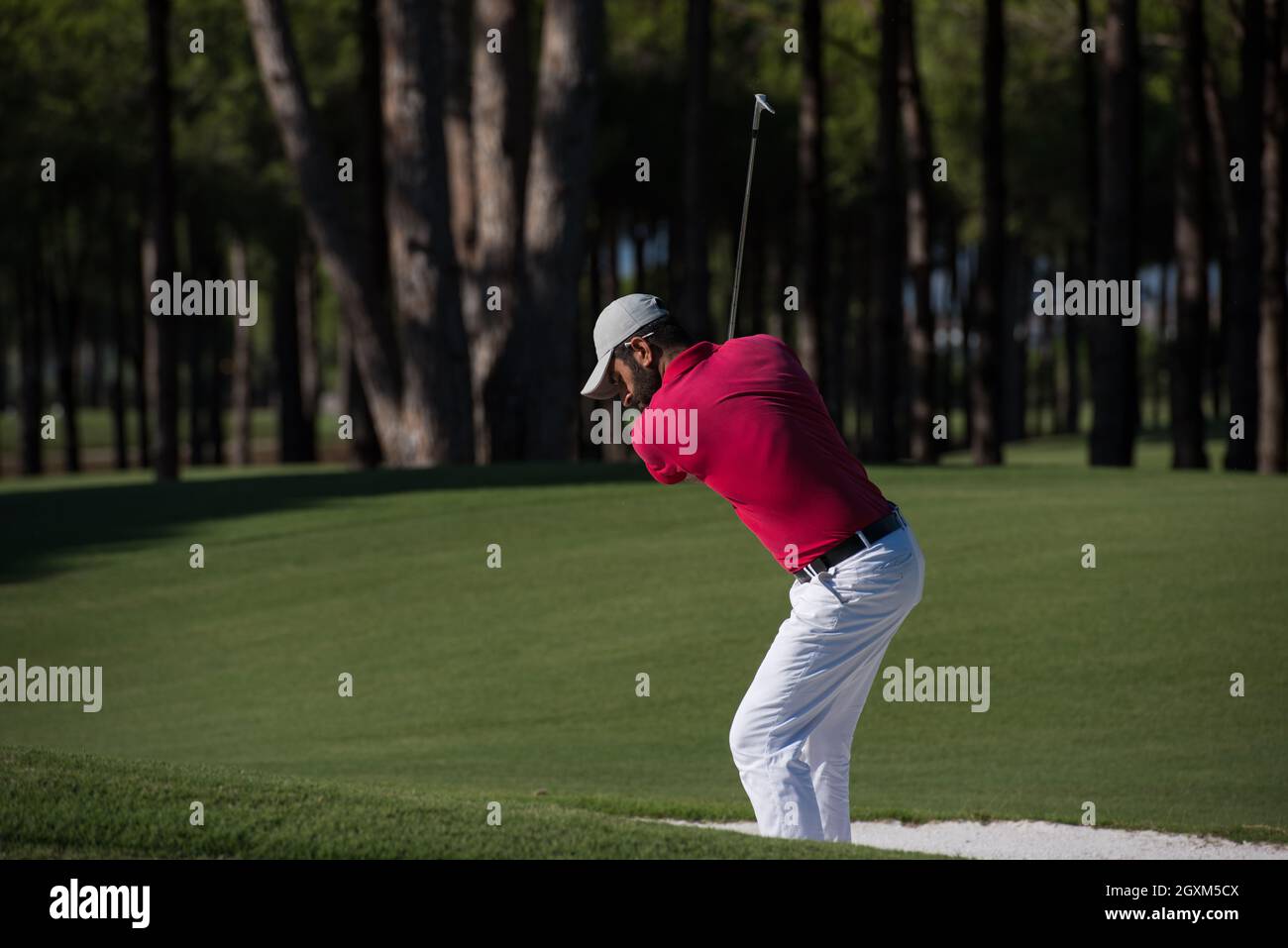 golf player shot ball from sand bunker at course Stock Photo - Alamy