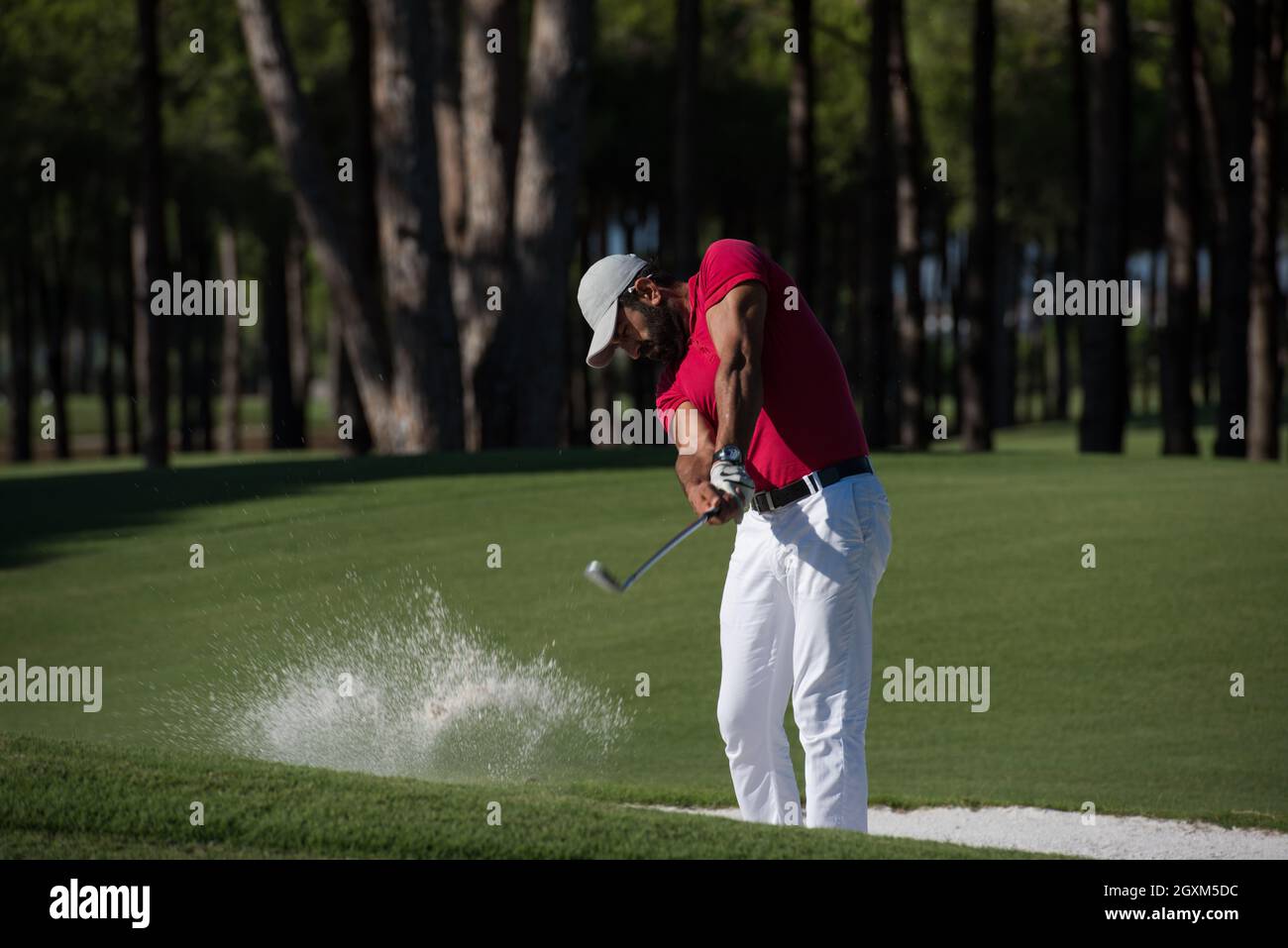 golf player shot ball from sand bunker at course Stock Photo - Alamy