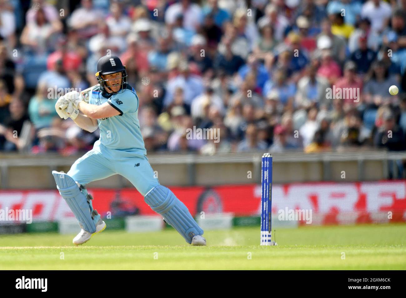 Eoin morgan hi-res stock photography and images - Alamy