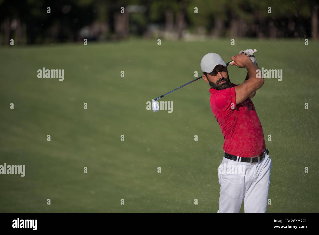 golf player shot ball from sand bunker at course Stock Photo - Alamy