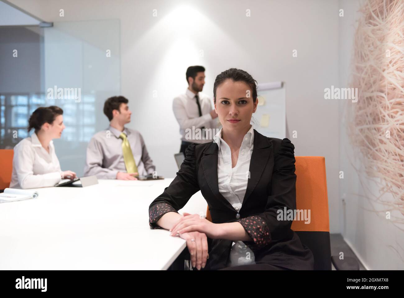 young business woman on meeting usineg laptop computer, blured group of ...