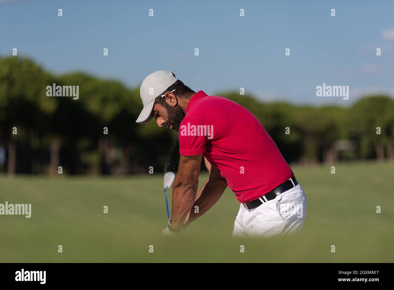golf player shot ball from sand bunker at course Stock Photo - Alamy