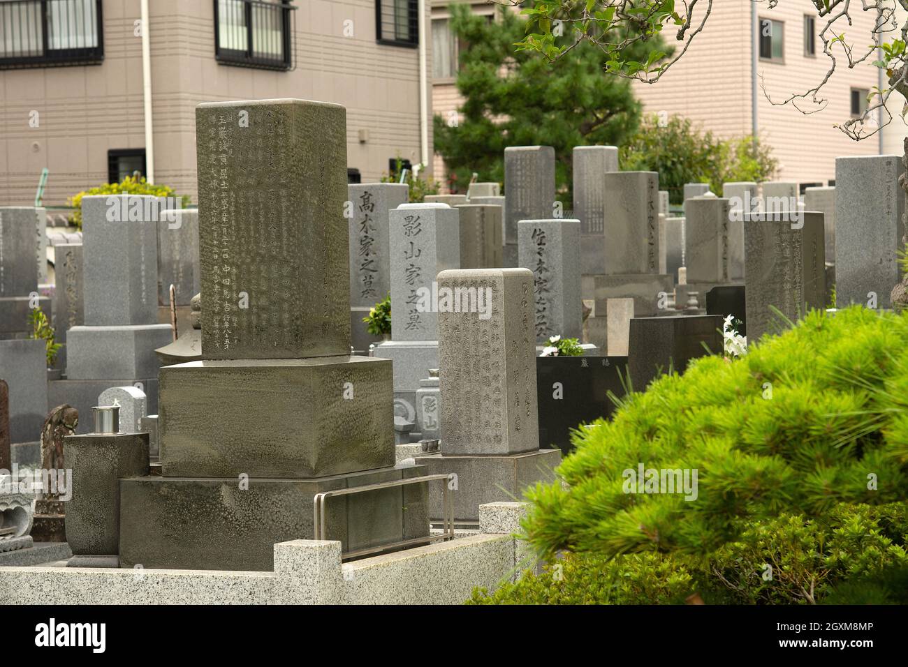 Japanese cemetery at Koshiba Shrine, Shizuoka, Japan Stock Photo - Alamy