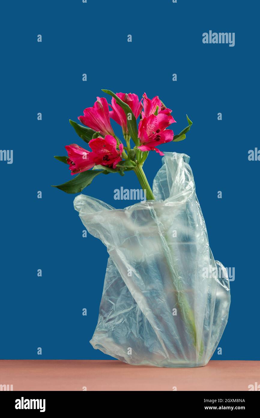 Plastic flower packaging hi-res stock photography and images - Alamy