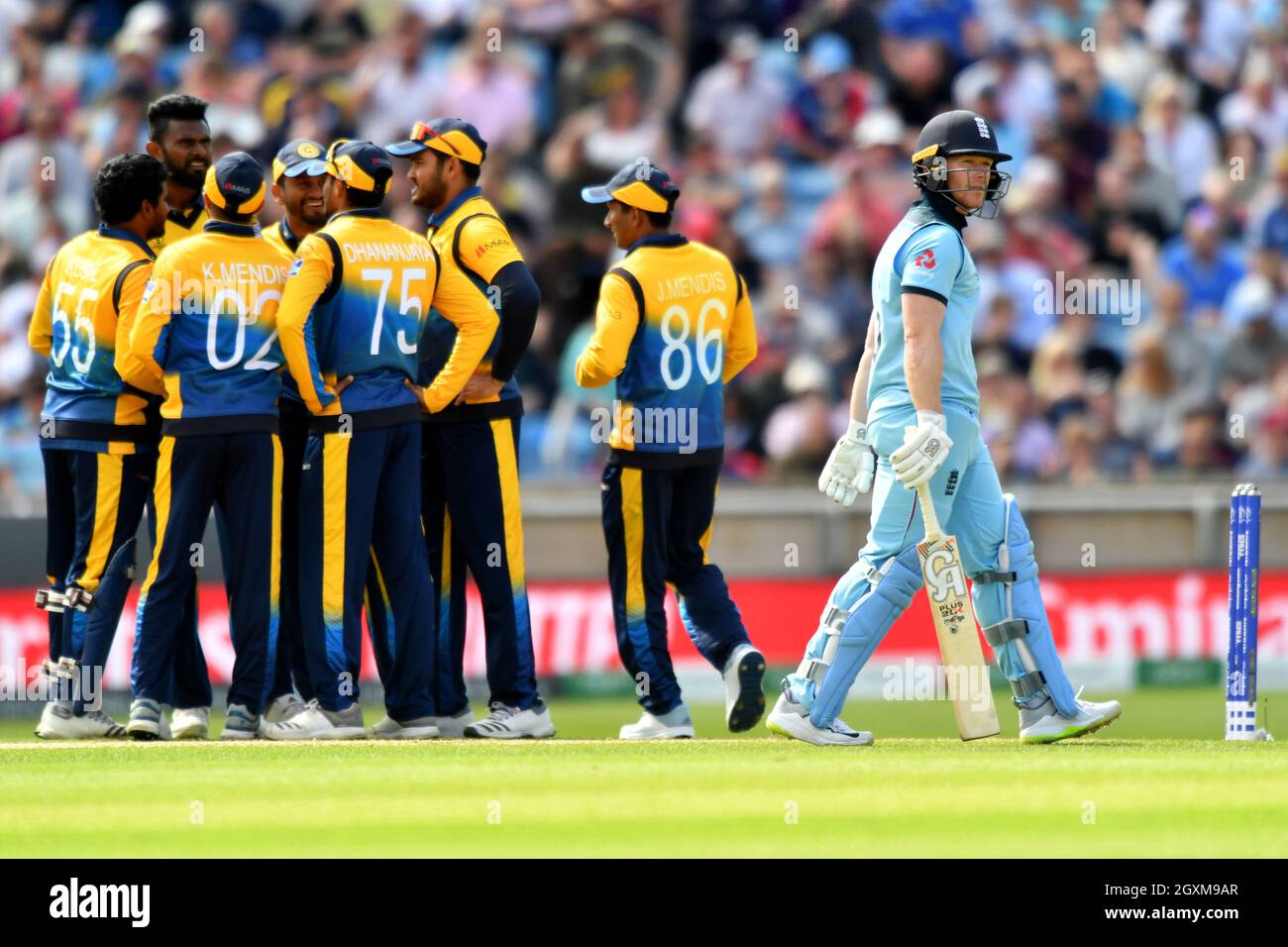 England's captain Eoin Morgan reacts after losing his wicket Stock ...