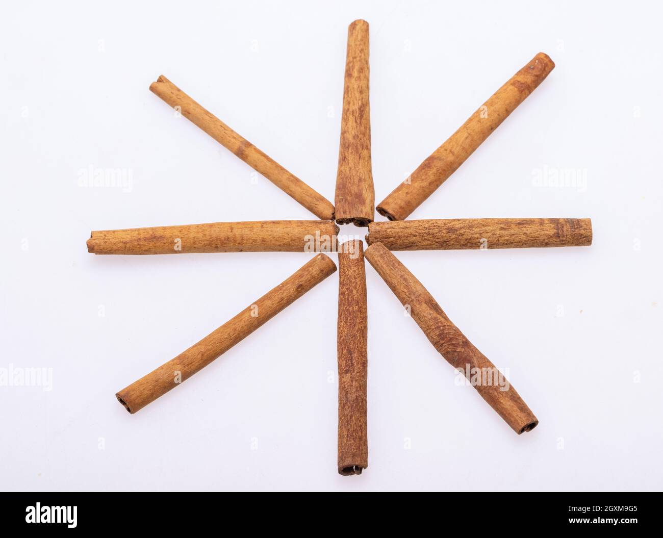 Cinnamon sticks, classic spice from the inner bark of tropical Asian ...