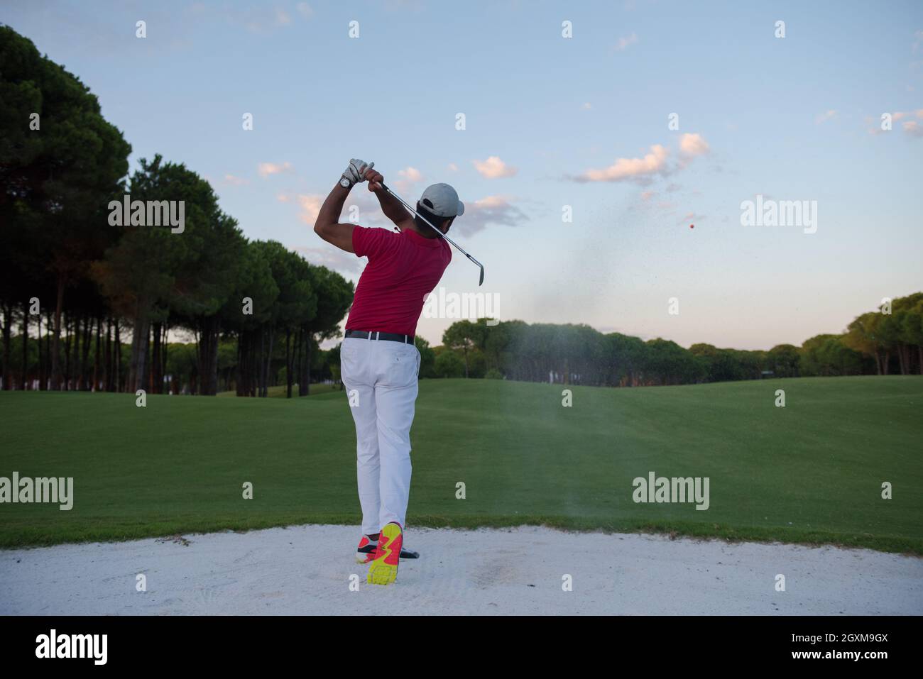 golf player shot ball from sand bunker at course with beautiful sunset ...