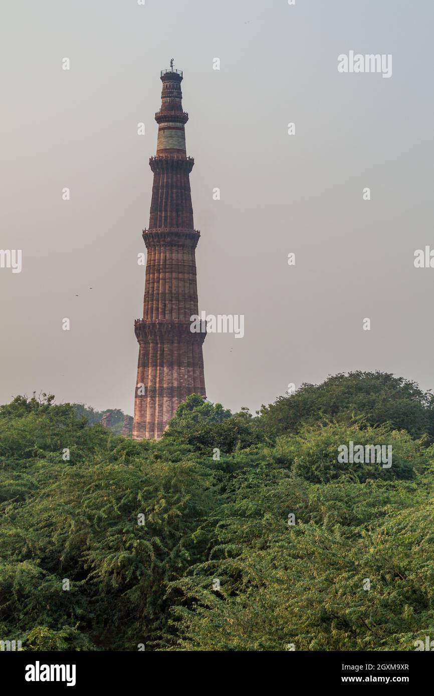 Qutub minar tree hi-res stock photography and images - Alamy