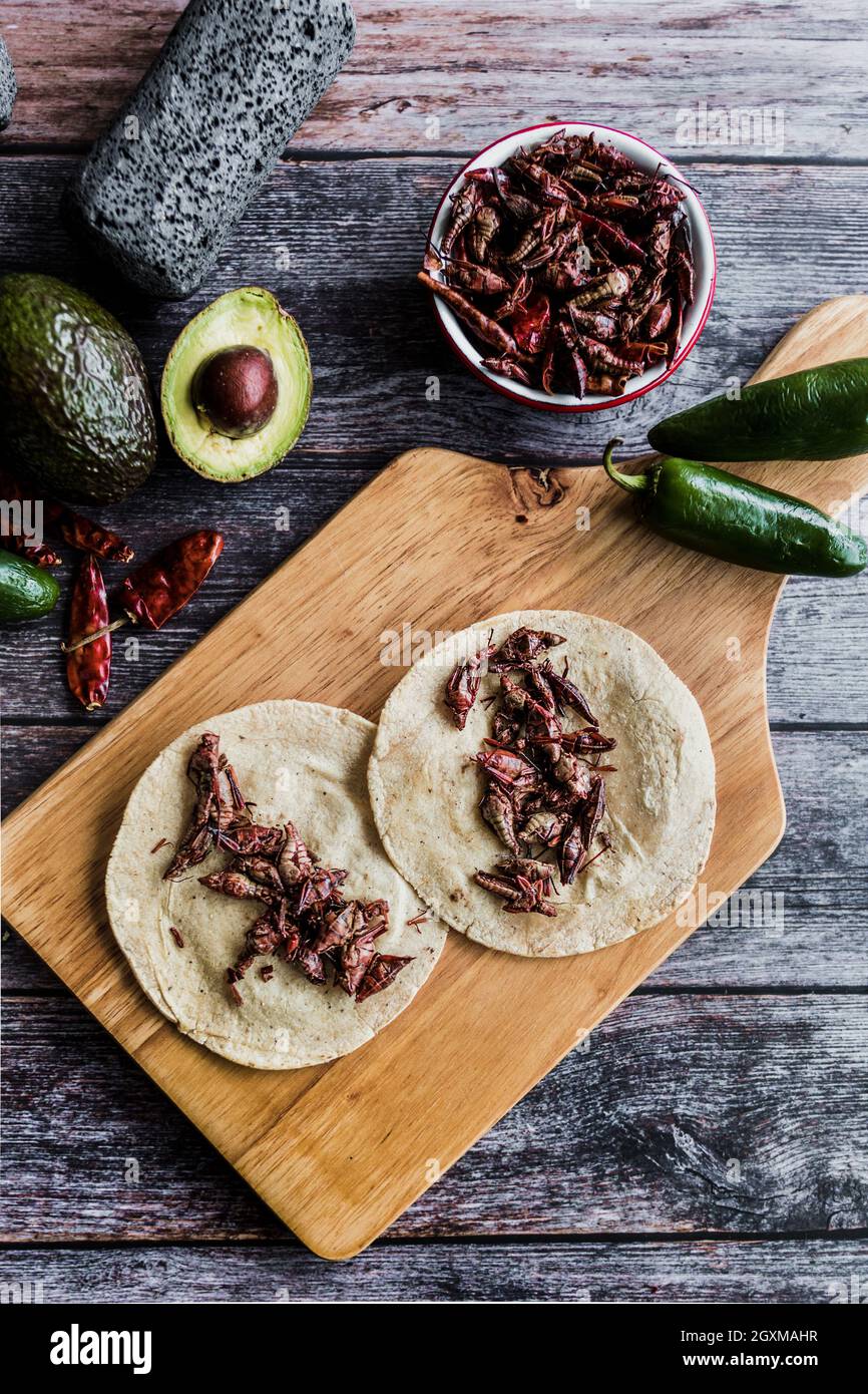 Taco chapulines hi-res stock photography and images - Alamy